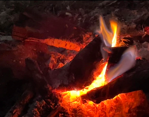 The Ancient Brothers of the Fire – Rig Vedic Annapurna and Himalayan ...